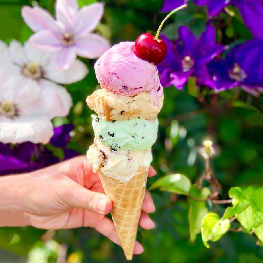 Flavours – Victoria's Ice Cream Cart
